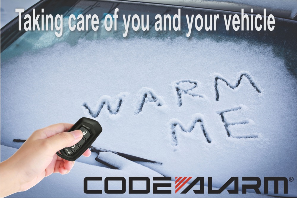 Directed Code Alarm 4-Button 1-Way Transmitter Remote Control, 2-Pk ...