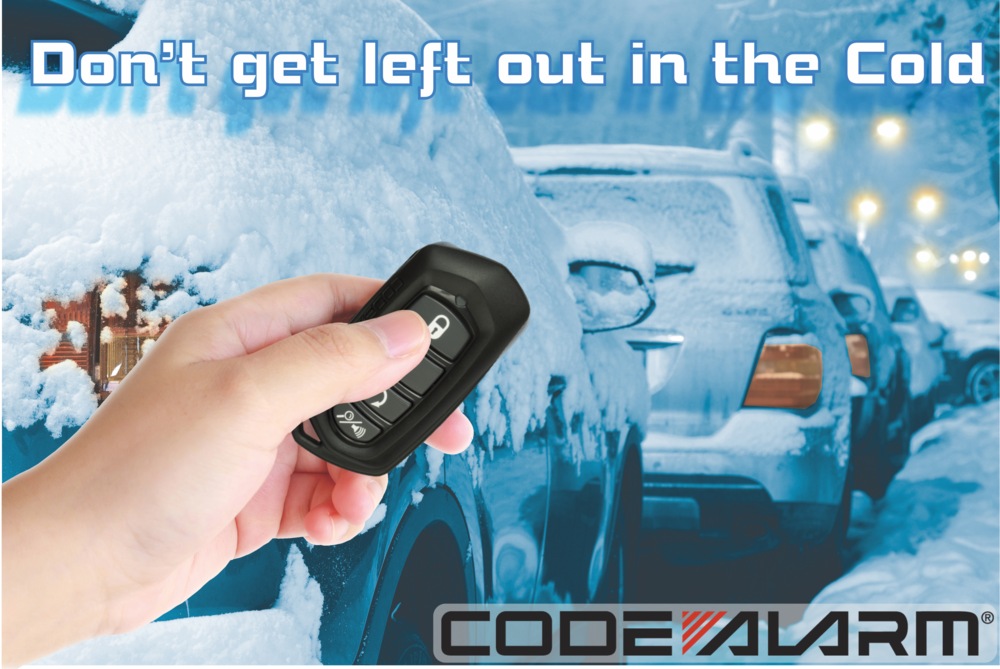 Directed Code Alarm 4-Button 1-Way Transmitter Remote Control, 2-Pk ...