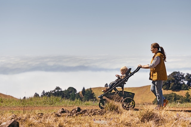 Veer Switchback Frame Jogging Stroller | Canadian Tire