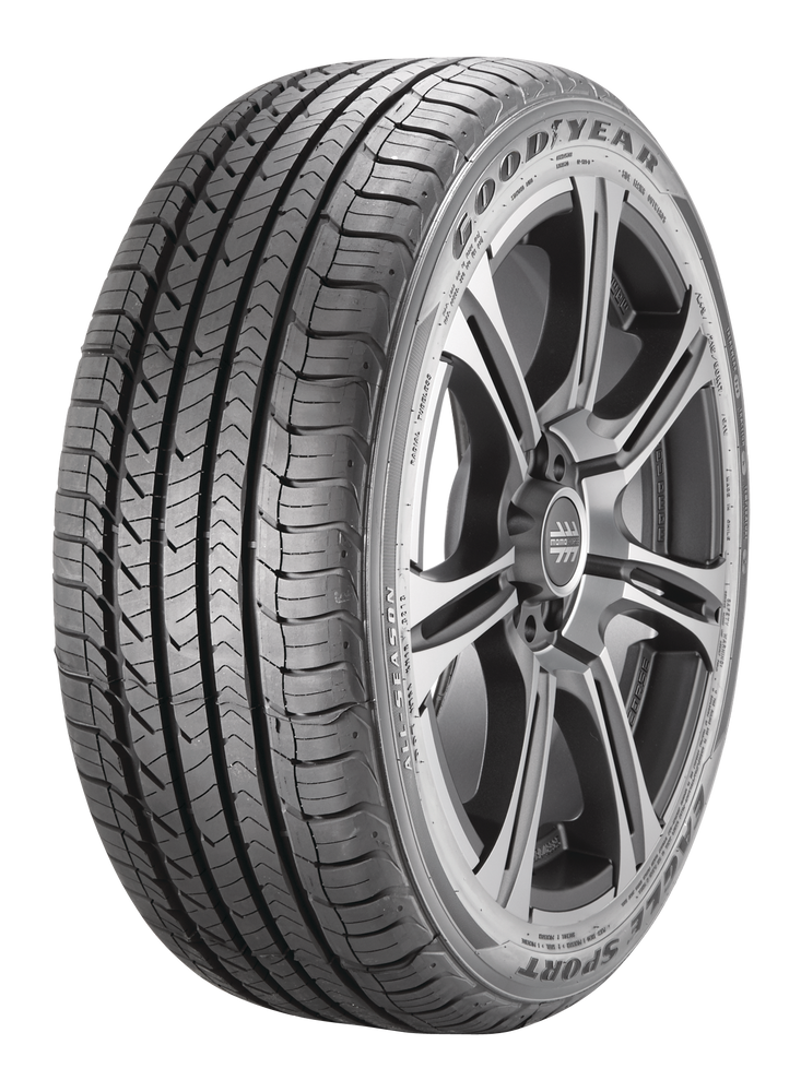 Pneu performant Goodyear Eagle Sport A/S pour véhicules de tourisme et ...