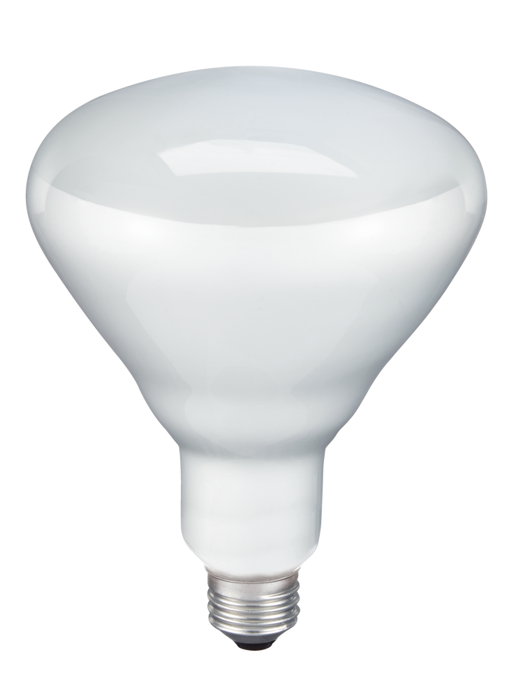 NOMA BR40 E26 Base Indoor Frosted Dimmable Light Bulb, 2600K, 620 ...