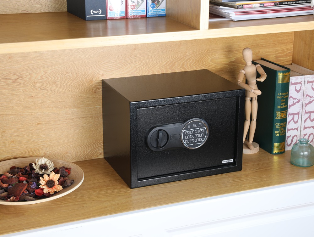 Garrison Small Steel Security Safe Box With Digital Keypad, 14.1-L ...