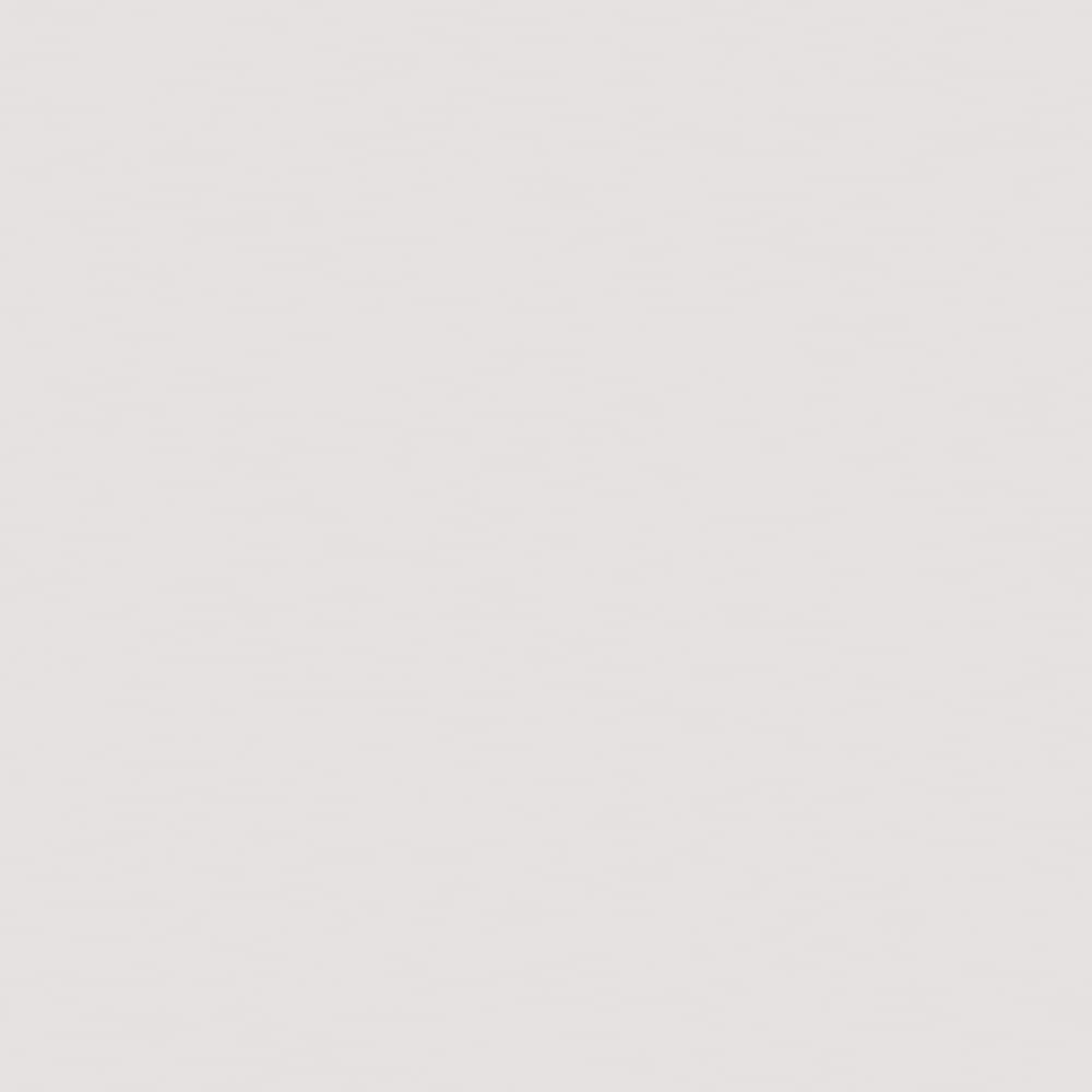 Rust-Oleum® HOME Interior Floor Coating Base Coat, Steam Grey, 3.78-L/1 ...