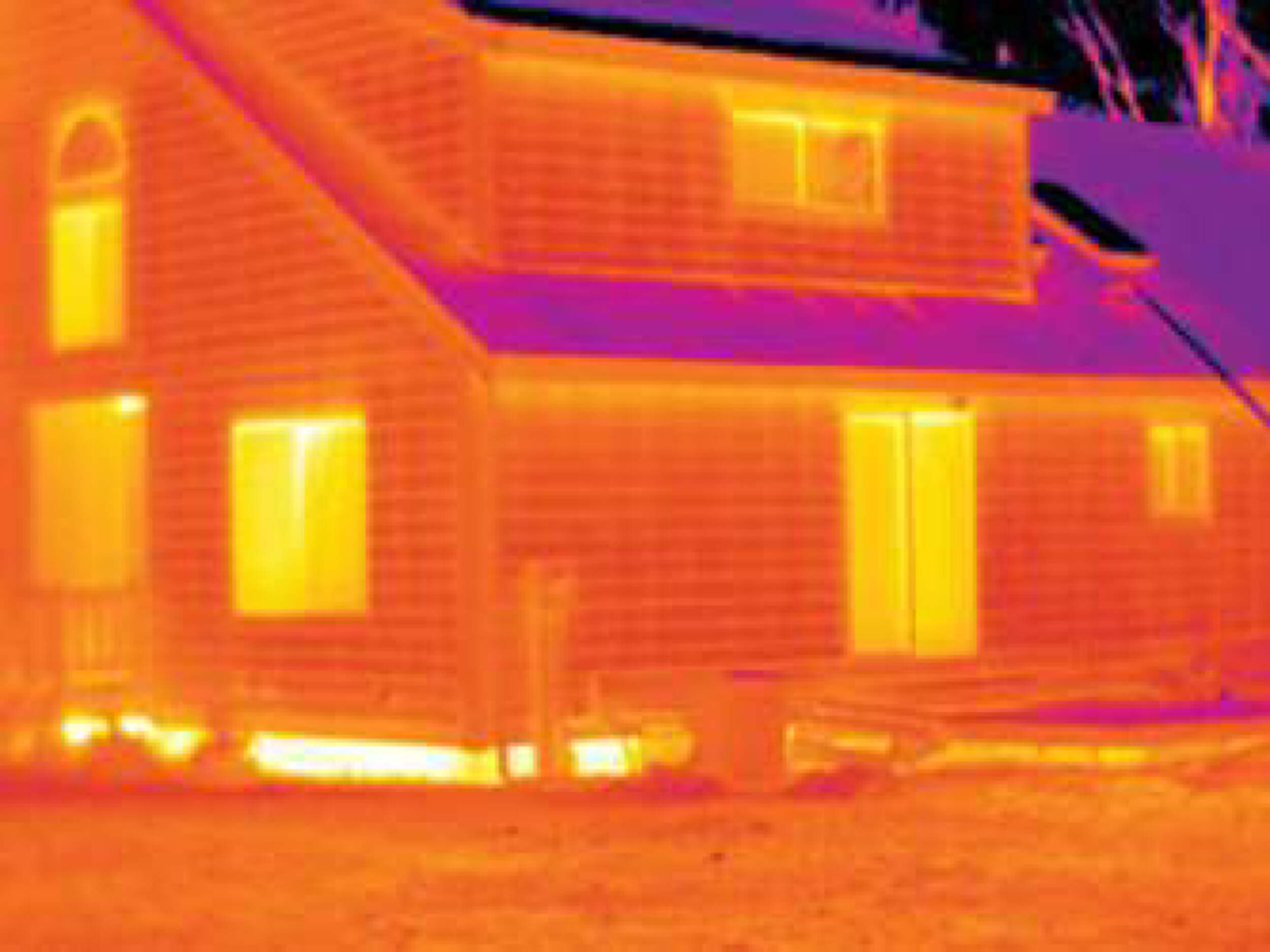 Thermomètre d’imagerie infrarouge Flir | Canadian Tire