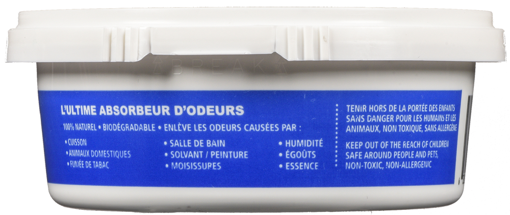 Air Sponge Environmental Odour Absorber, 227-g | Canadian Tire