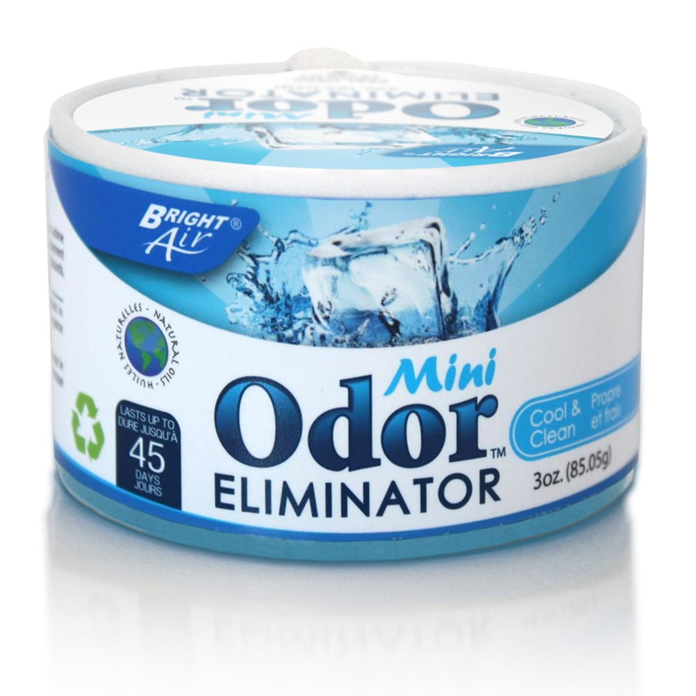 Mini Odor Eliminator, Assorted, 3-oz | Canadian Tire