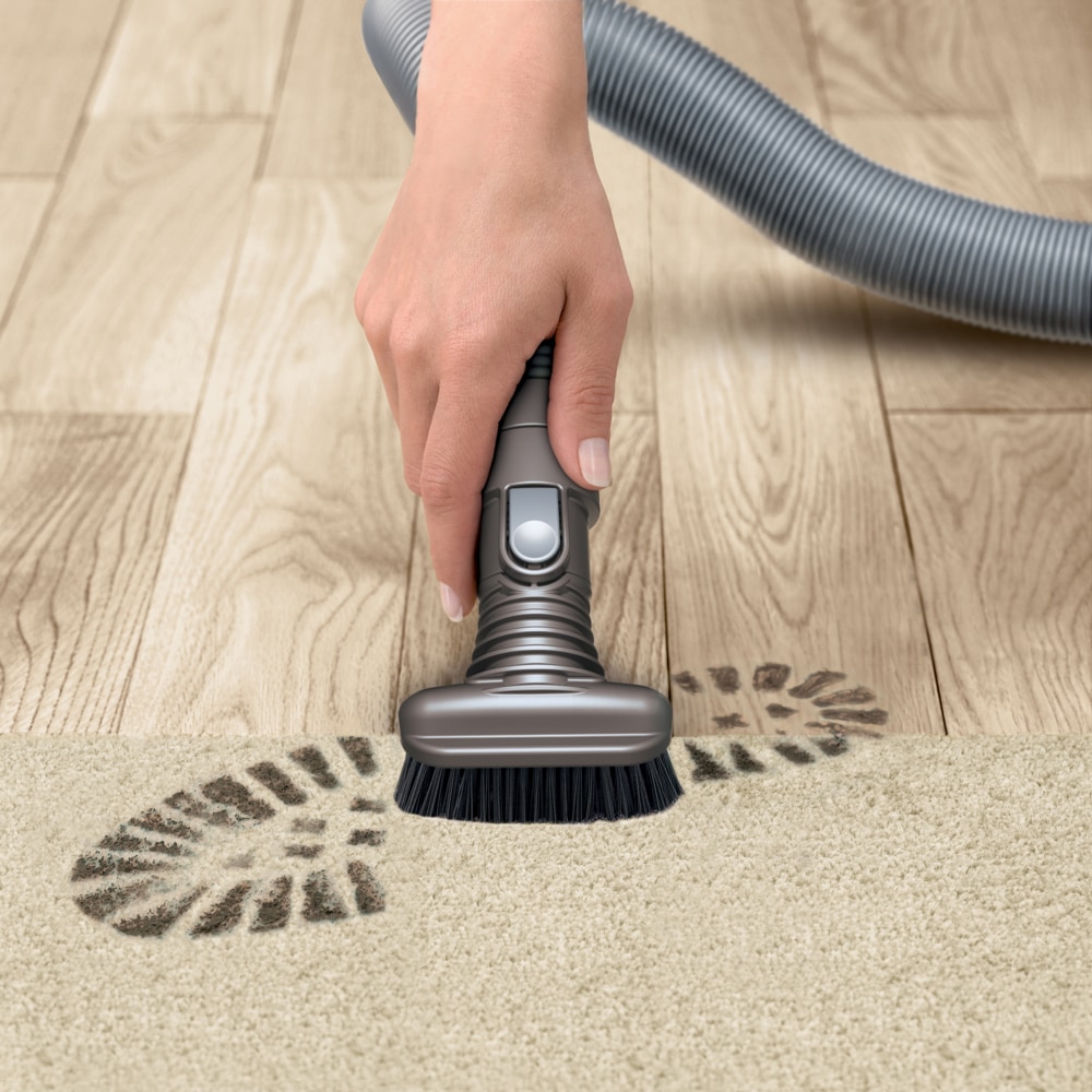 Dyson Cinetic™ DC77 Animal Upright Vacuum | Canadian Tire