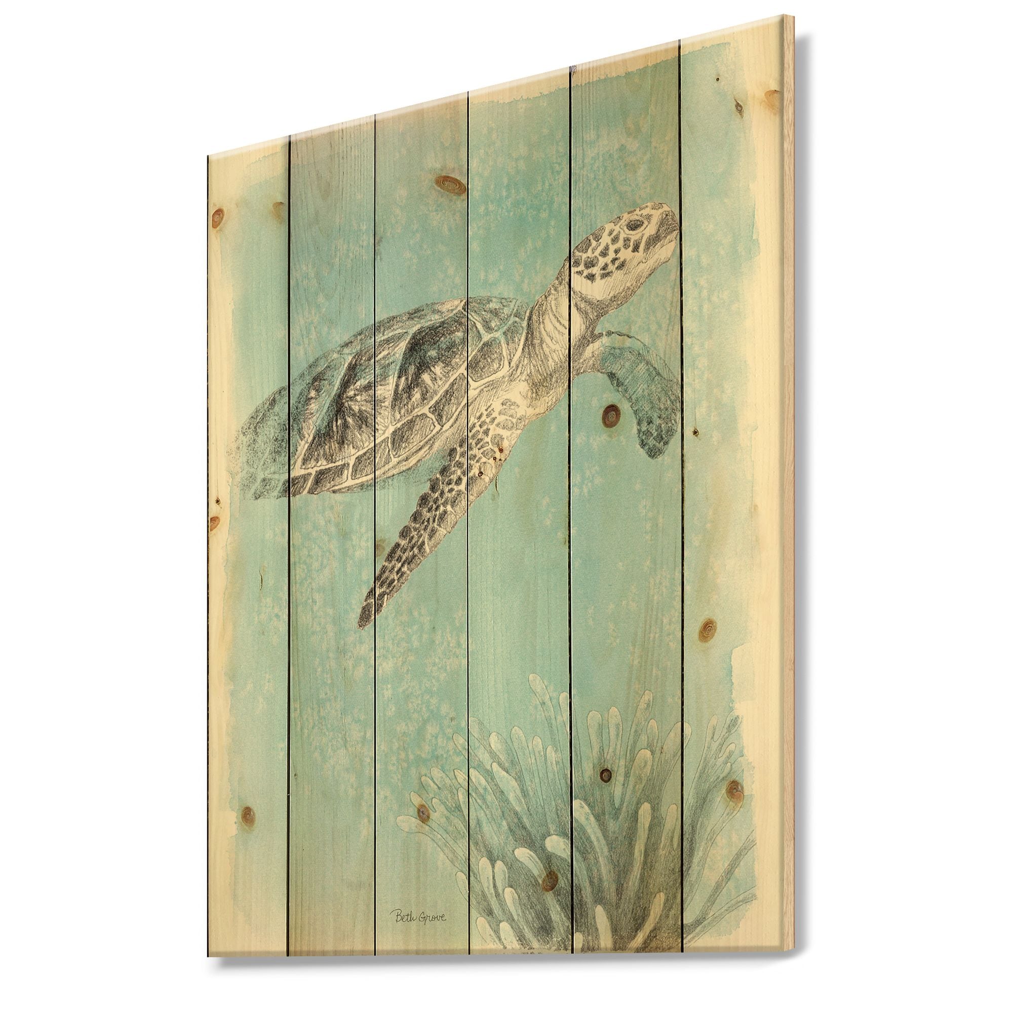Impression murale sur bois de pin naturel Designart 'Coastal Sea Life I ...