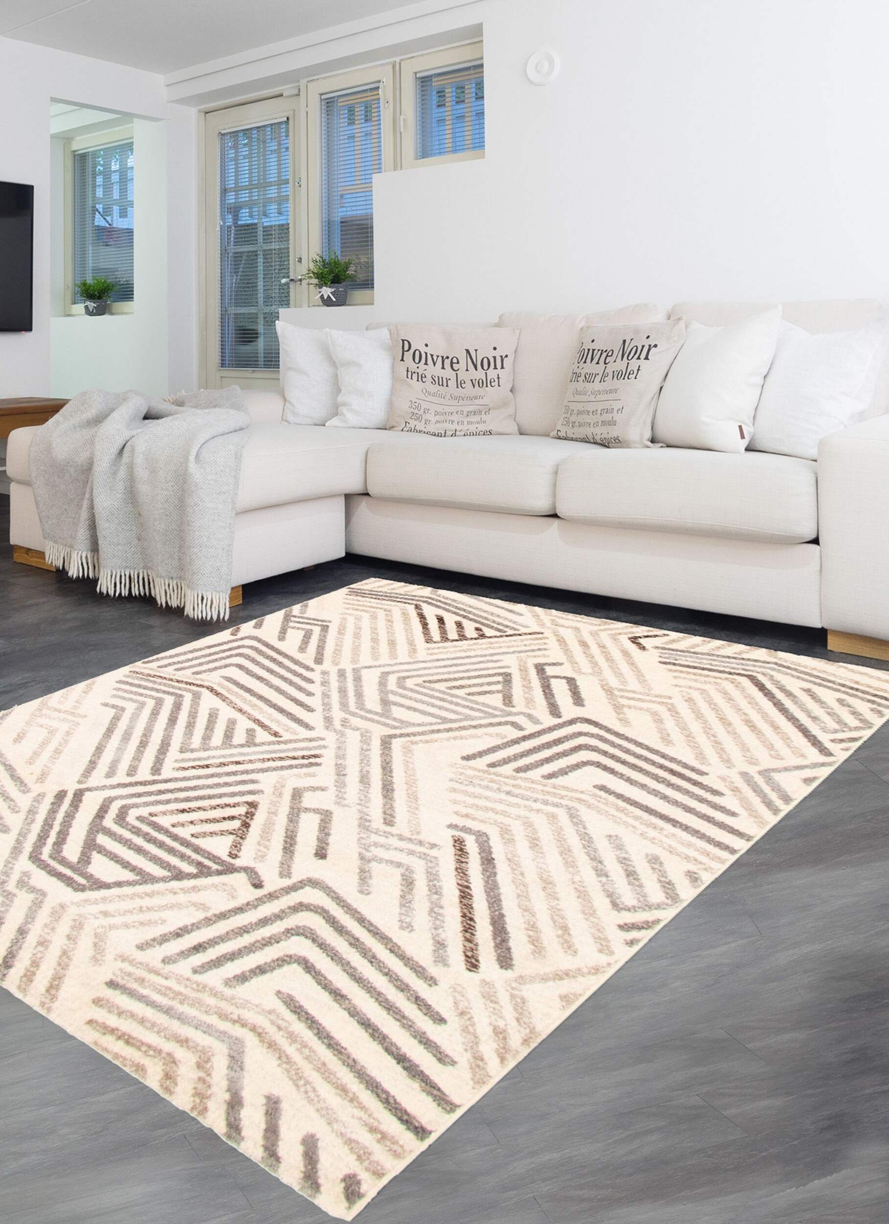 ECARPET Skylar Indoor Abstract Area Rug, Ivory, Assorted Sizes ...