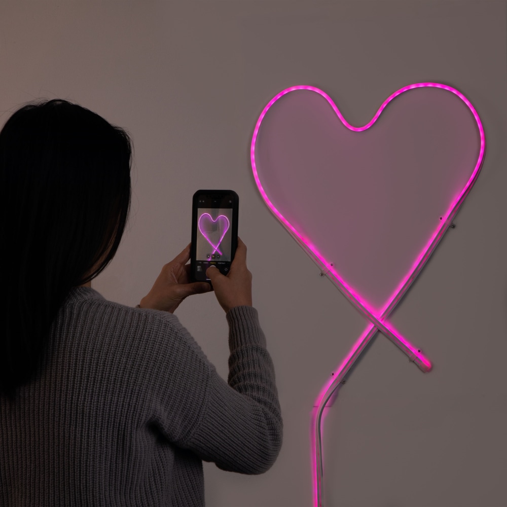 Bande lumineuse cordon néon RVB à DEL West & Arrow Merkury, 9,8 pi ...