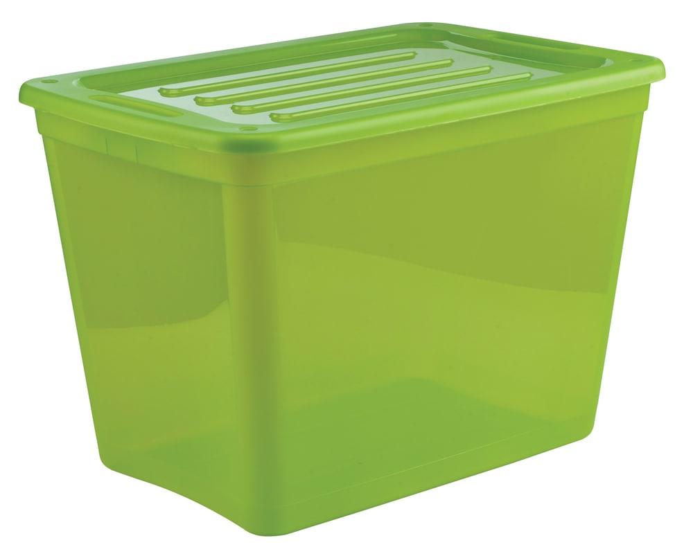 Bella Storage Solution Translucent Coloured Container, 68-L | Canadian Tire