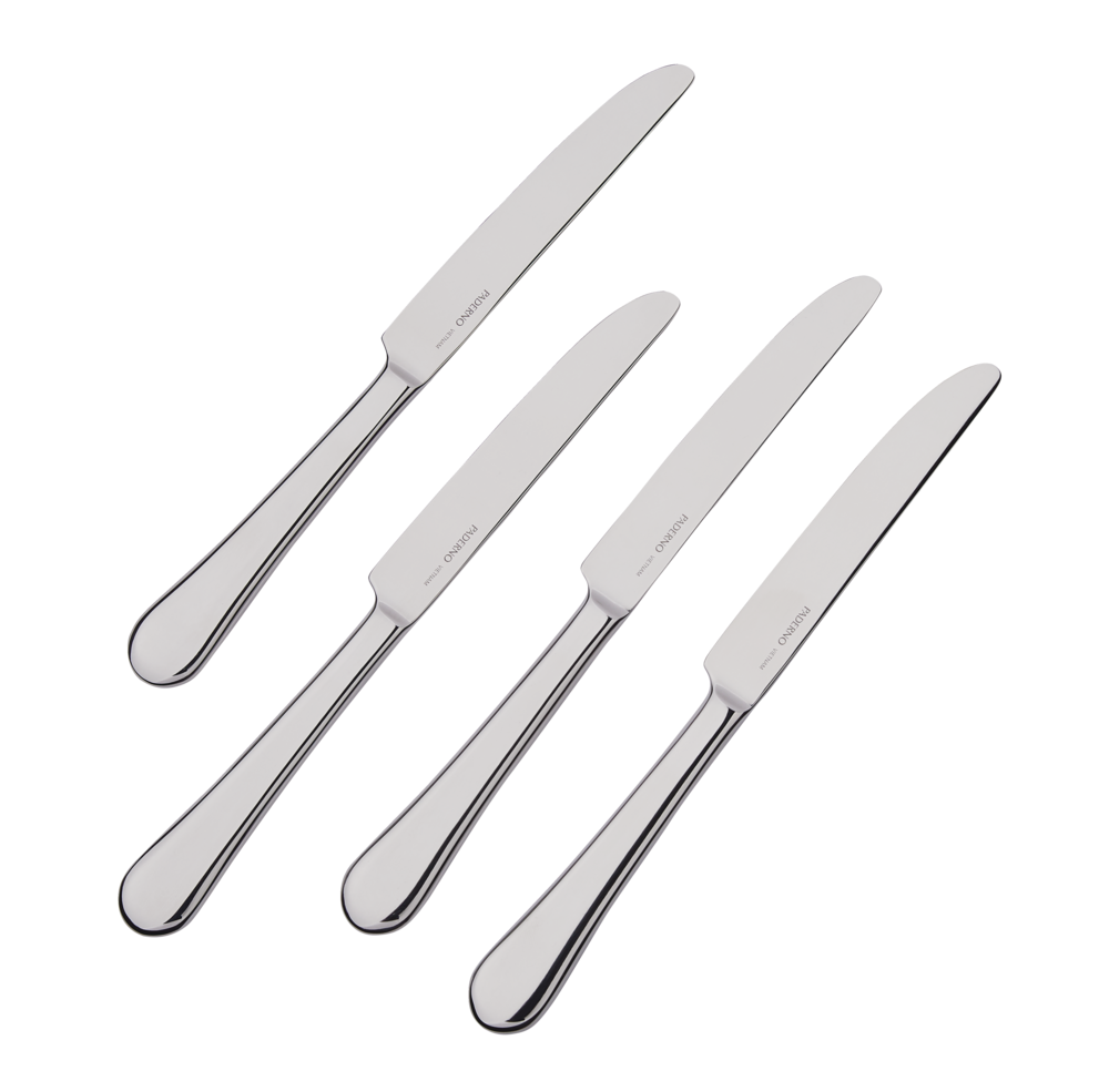 PADERNO 4pc Stainless Steel Dinner Knives | Canadian Tire