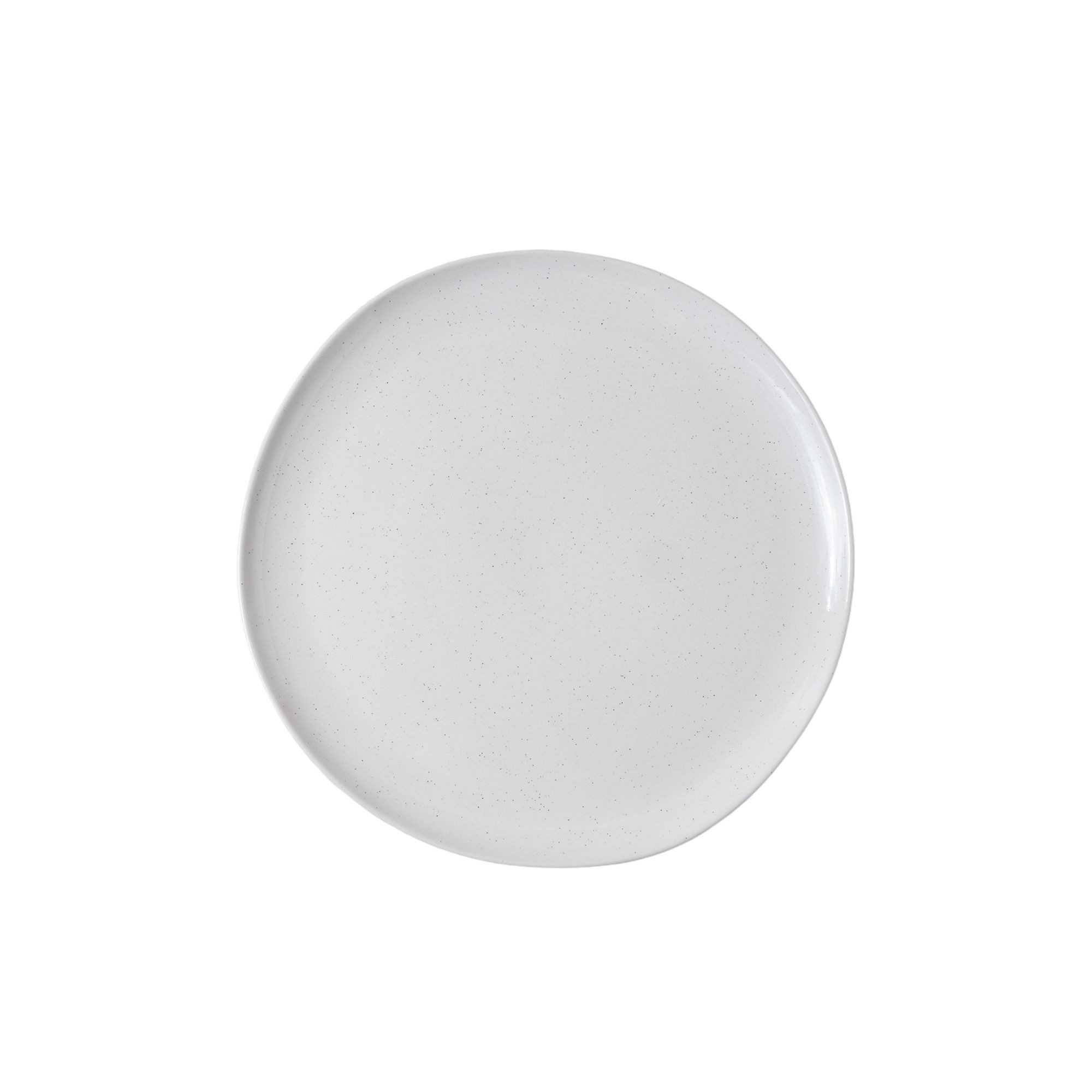 CANVAS Bettina Glossy Stoneware Dinner Plate, 1-pc, White Speckle ...