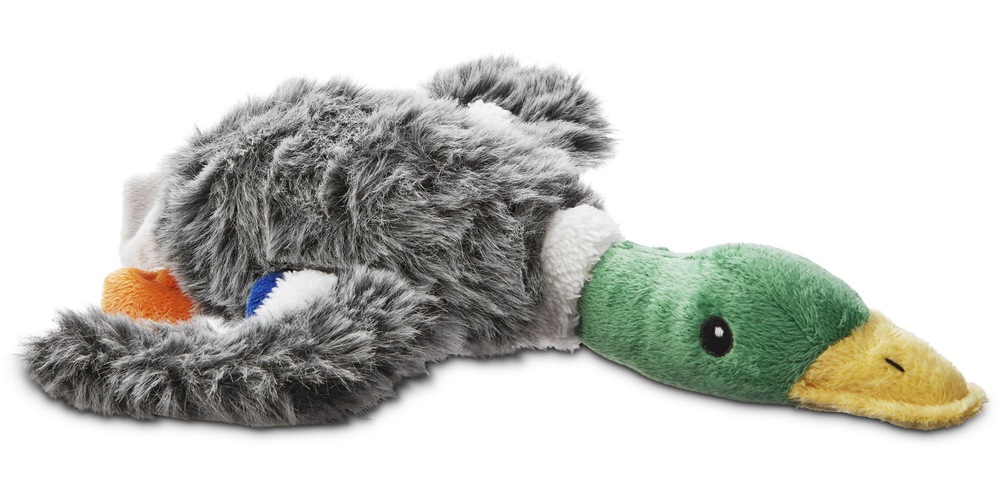 Petco Squeak Plush Flying Mallard Dog Toy, Large | Canadian Tire