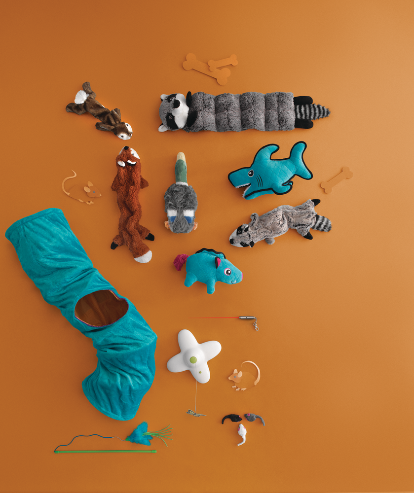 Petco Unstuffed Squeak Plush Rabbit Dog Toy, Small | Canadian Tire