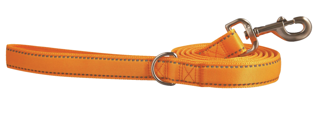 Petco Padded Reflective Dog Leash, 6-ft,Orange | Canadian Tire