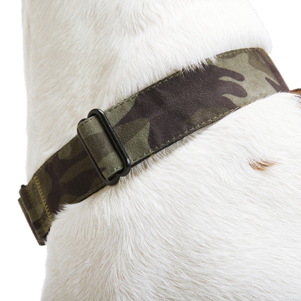 Collier Martingale en nylon pour chiens Petco, réglable, tailles ...