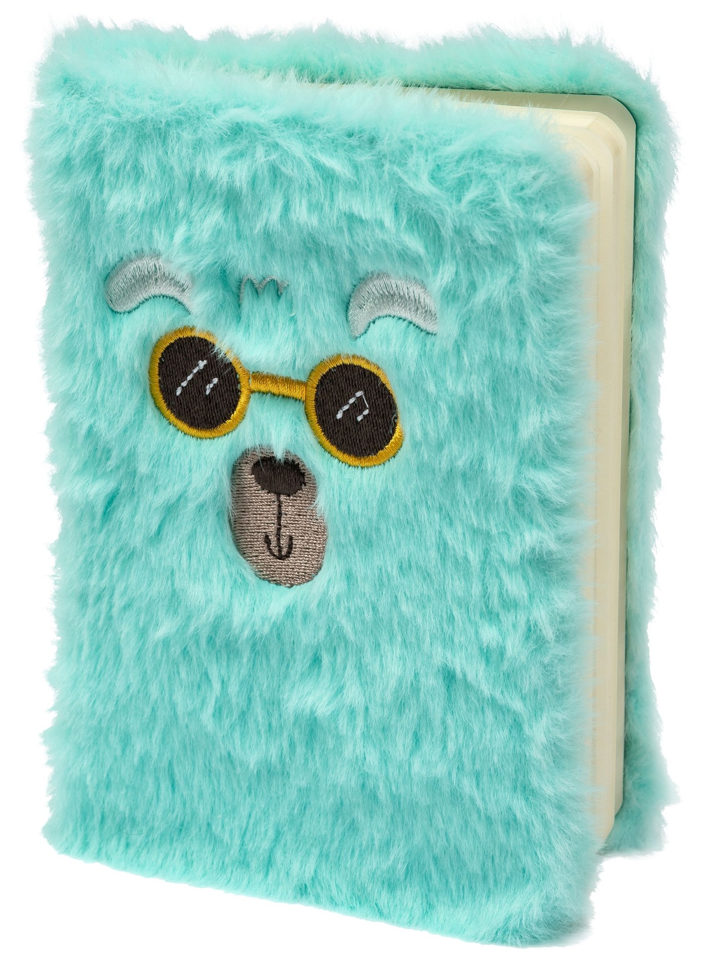 Dog Fuzzy Notebook, Turquoise, 50 Pages, for Arts & Crafts/Birthday ...