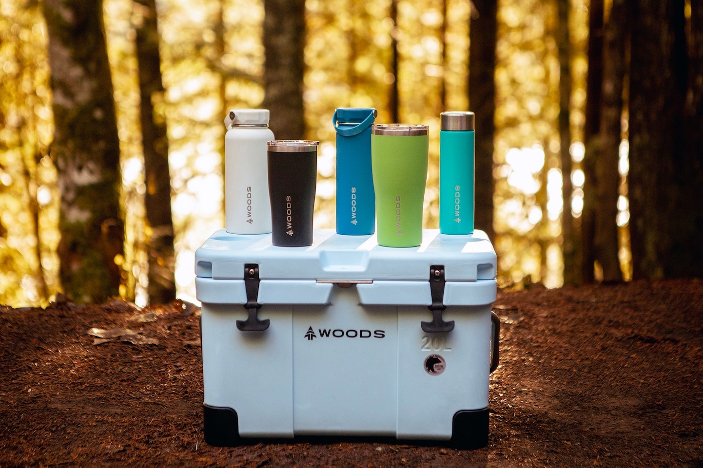 Woods ARCTIC Roto-Moulded Cooler with Handle, 20-L, Red | Canadian Tire