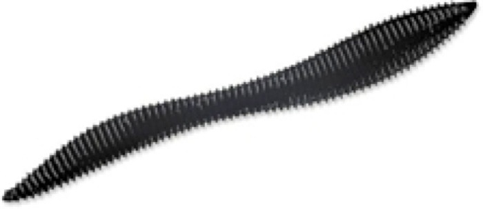 Trigger X Leech Lure, 5-in | Canadian Tire