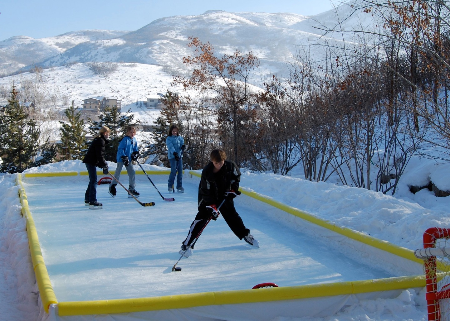 Nicerink Outdoor Ice Rink Kit 20 Ft X 40 Ft Canadian Tire