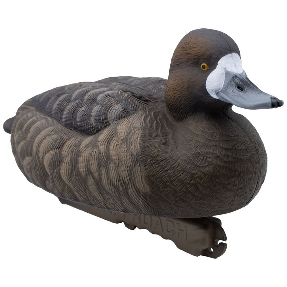 Final Approach Live Bluebills Floating Hunting Decoy, Poly/Plastic ...