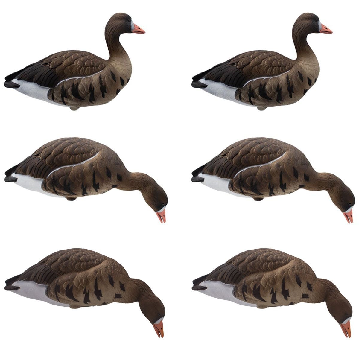 Final Approach Full Body Speck Hunting Geese Decoy with 19-in Metal ...