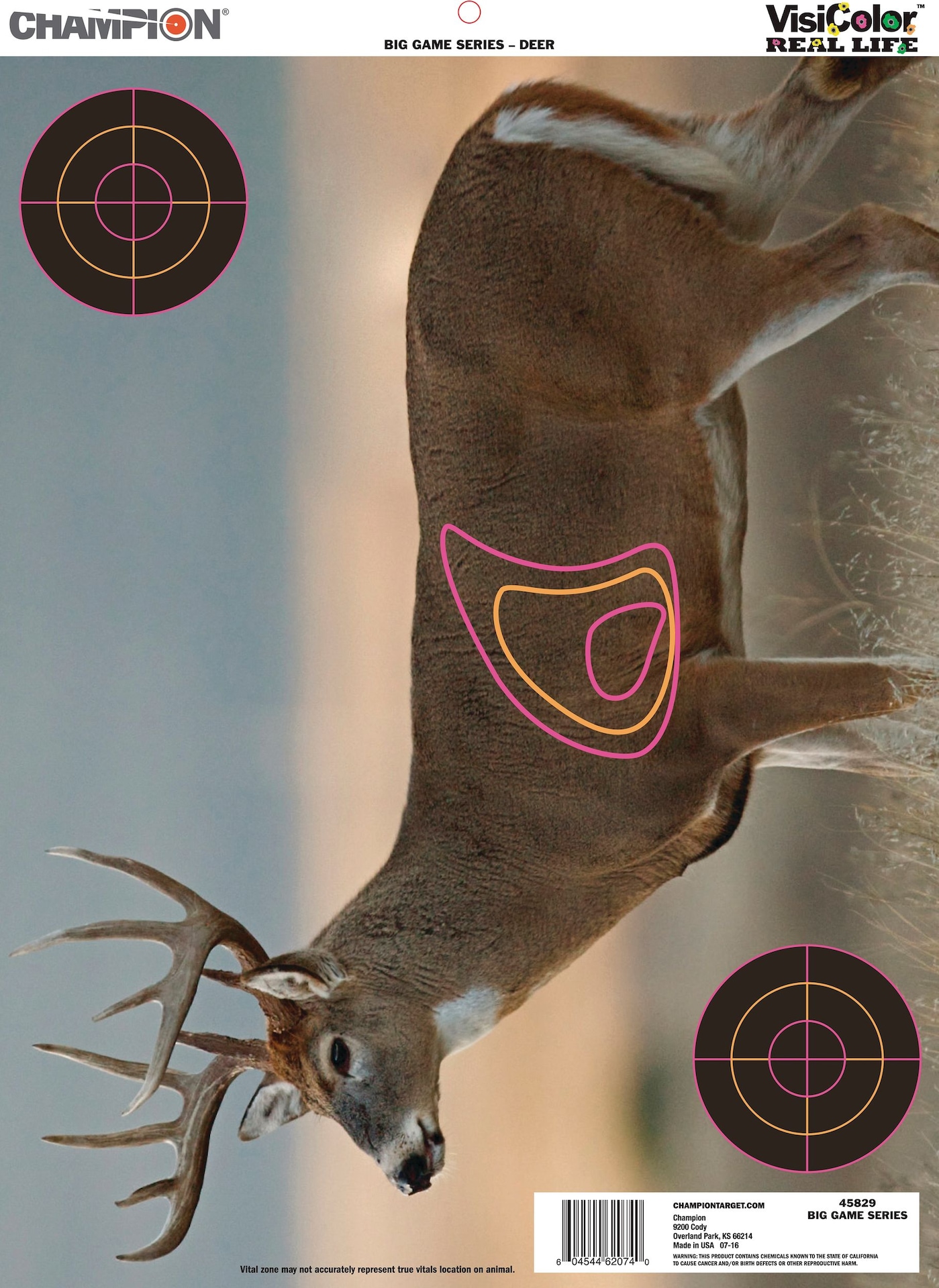 Champion VisiColor 'Real Life Deer' Hunting Shooting Target, 12-pk ...