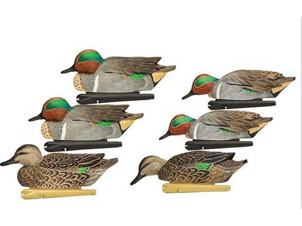 Avian X Topflight Green Winged Teal Hunting Duck Decoys, 10-in, 6-pk ...