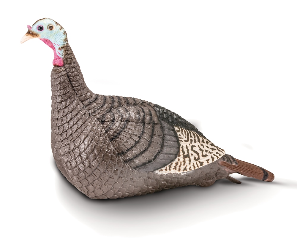 Strut-Lite Hollow Body Foldable Hunting Turkey Hen Decoy | Canadian Tire