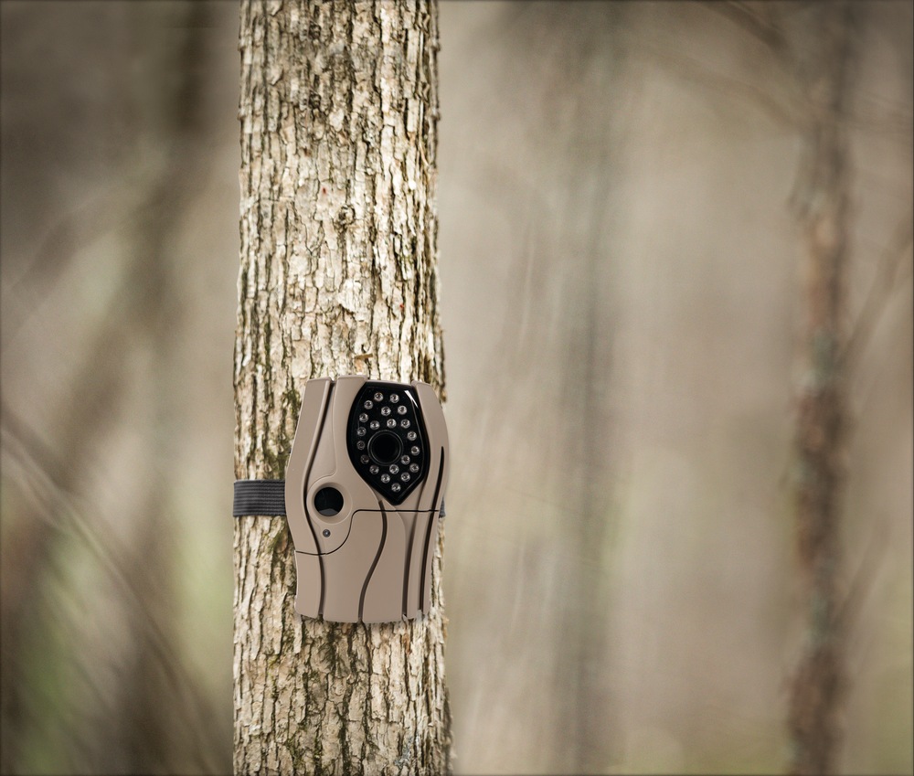Wildgame Innovations Switch IR Trail/Game Camera, 12MP | Canadian Tire