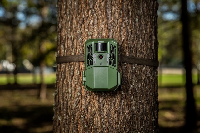 Primos Exclusive 20MP AutoPilot Trail/Game Camera No Glo | Canadian Tire