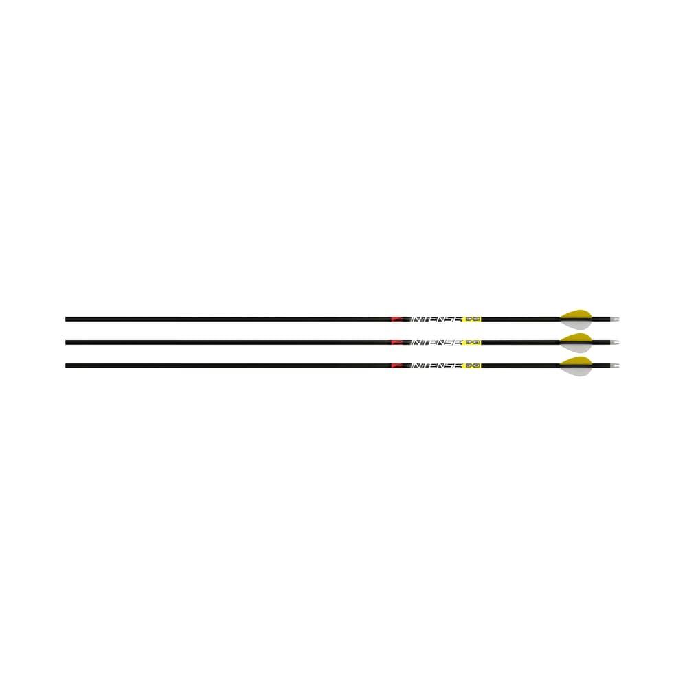 Killer Instinct Intense Arrows, High-Precision, 340 - 30-ft, Carbon, 3 ...