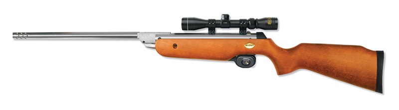 Beeman Air Rifle with Scope | Canadian Tire