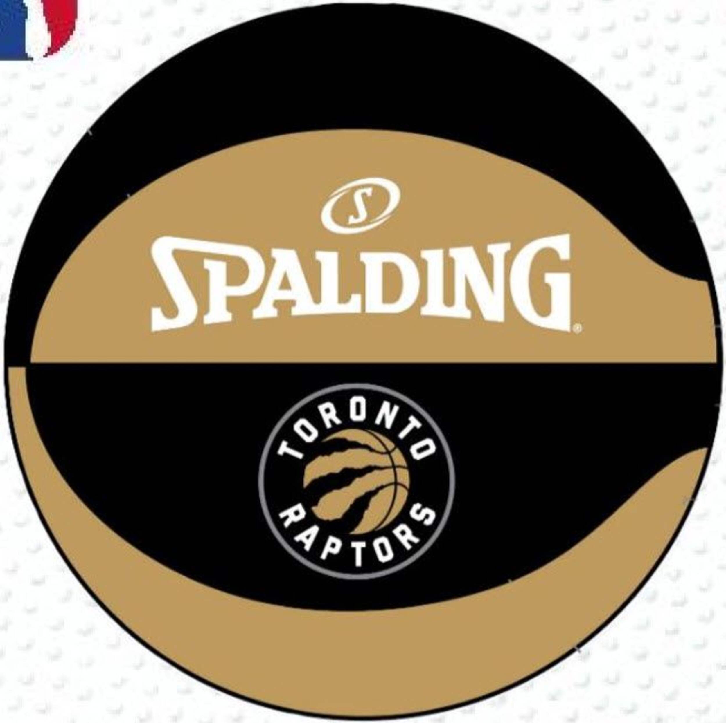 Spalding Toronto Raptors Championship Basketball, Black/Gold, Size 7 ...