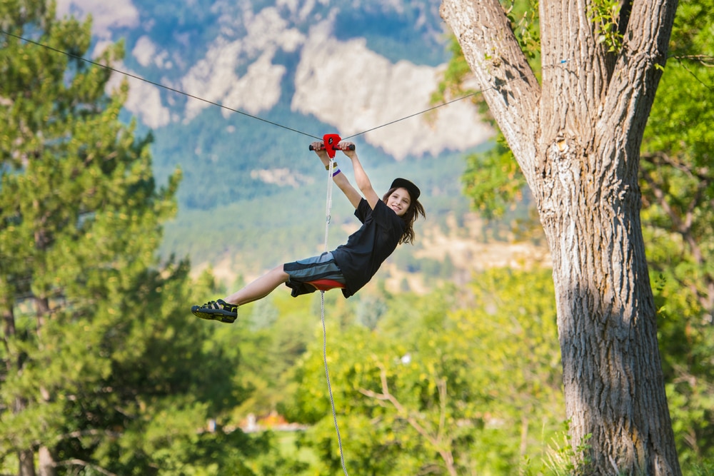 Ripline Outdoor Zipline Kit with Seat, 80-ft, For Ages 8+ | Canadian Tire