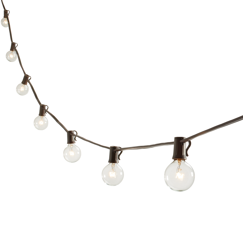 CANVAS Indoor/Outdoor Clear White Incandescent Plug-In Luna String ...