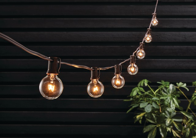 CANVAS Indoor/Outdoor Clear White Incandescent Plug-In Luna String ...