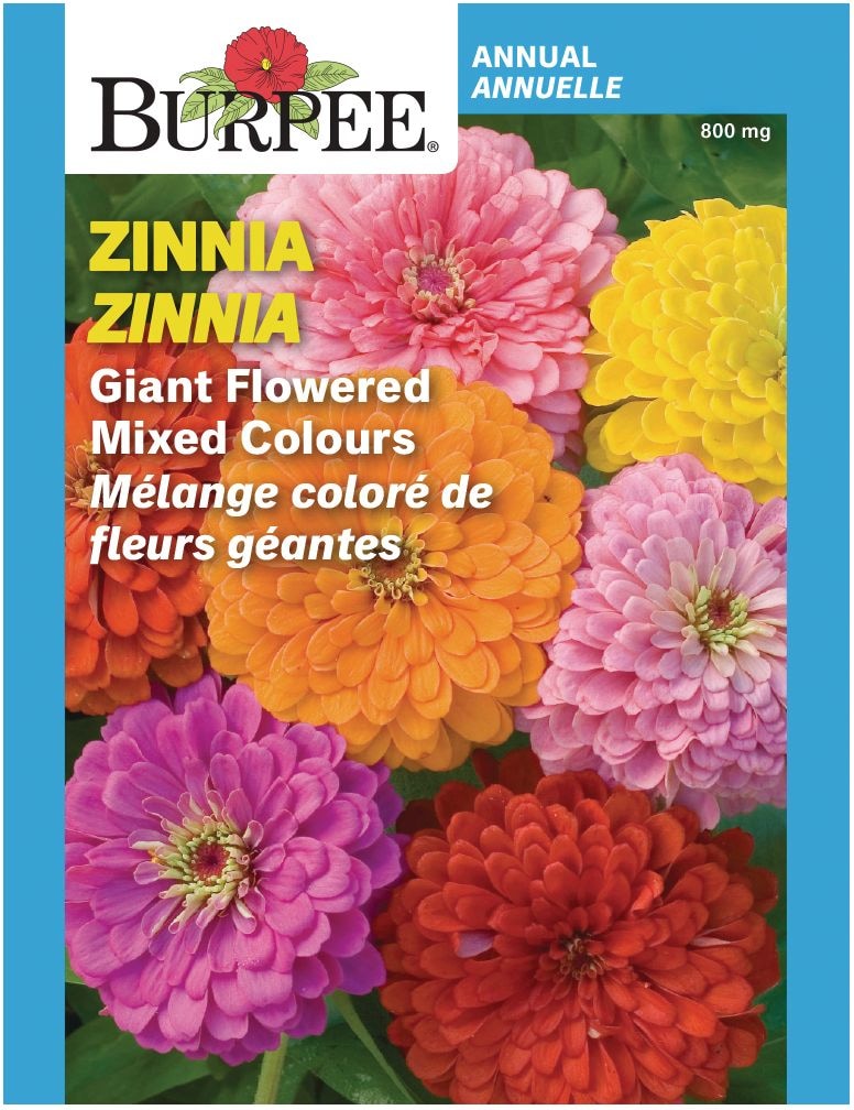 Burpee, Annual Flower Seeds, Assorted Varieties, Ready to Plant for ...