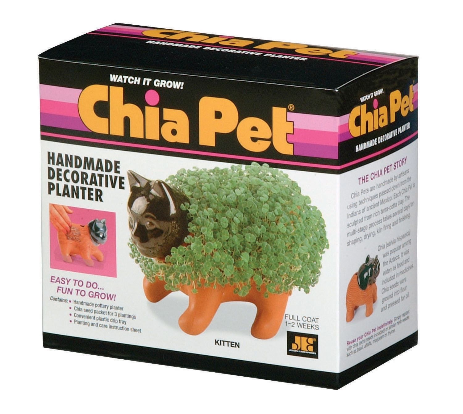 Chia Pet Kitten | Canadian Tire