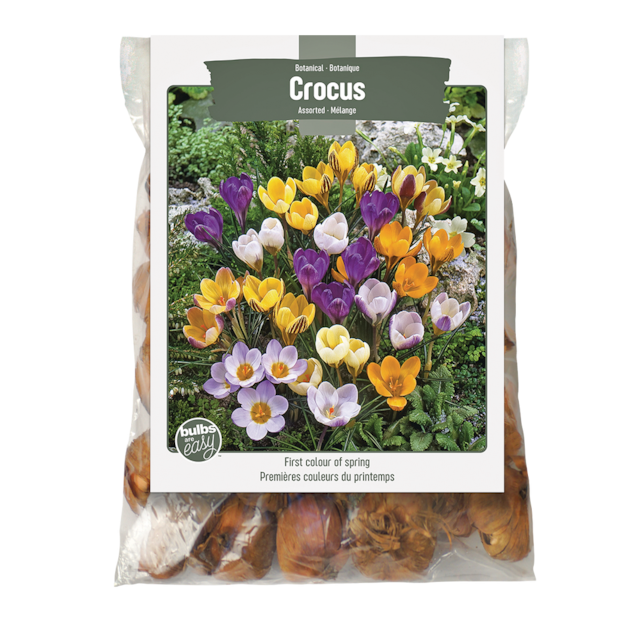 Bulbs Are Easy, Botanical Crocus Bulbs, Assorted Varieties, Home Garden ...