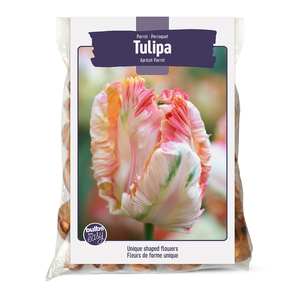 Bulbs Are Easy, Apricot Parrot Tulip Bulbs, Assorted Varieties, Home Garden | Canadian Tire