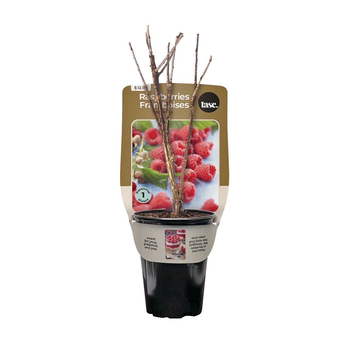Bulbs Are Easy, Heritage Raspberry Bulbs, Ready to Plant for your Home ...