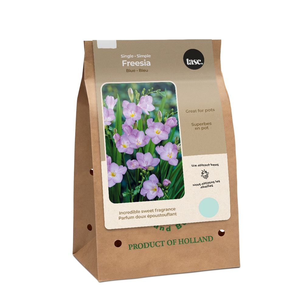 Bulbs Are Easy Single Blue Freesia Spring Bulb | Canadian Tire