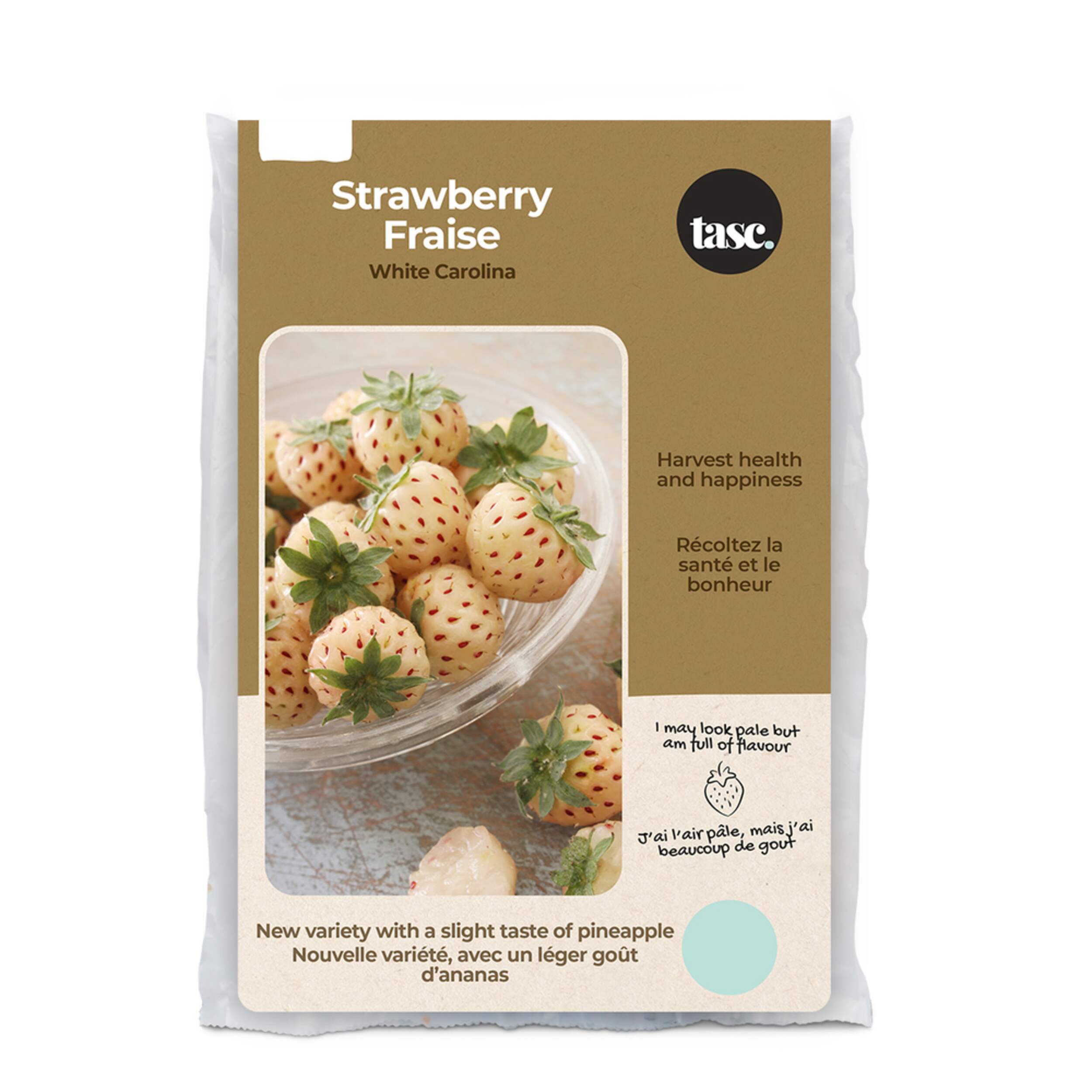 Bulbs Are Easy Ananassa White Carolina Pineberry Strawberry Bulbs Home Garden 10 Bulbs