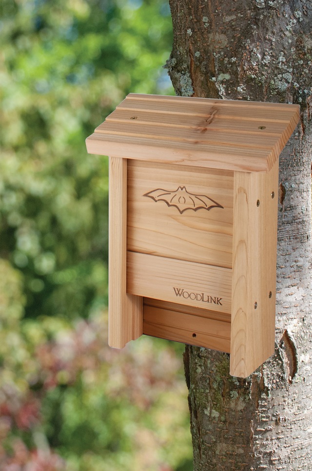Panacea DIY Outdoor Wood Bat House Craft Kit, 12-in | Canadian Tire