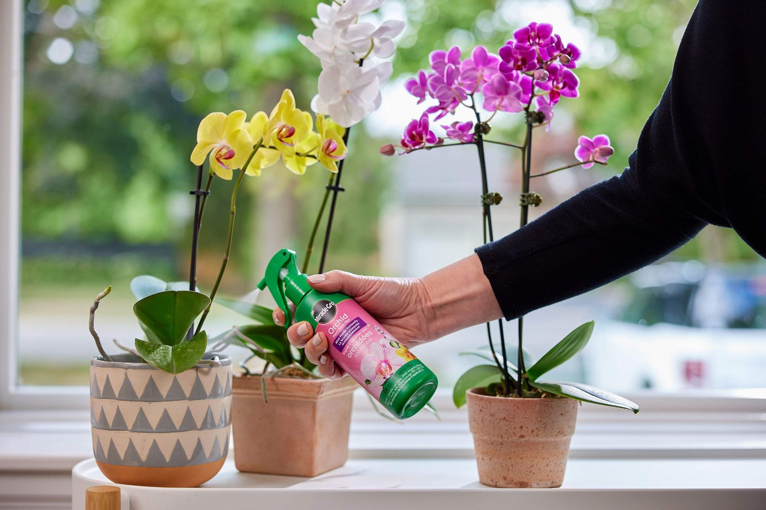 Miracle-Gro® Orchid Plant Food Mist, Ready-to-Use, 236-mL | Canadian Tire
