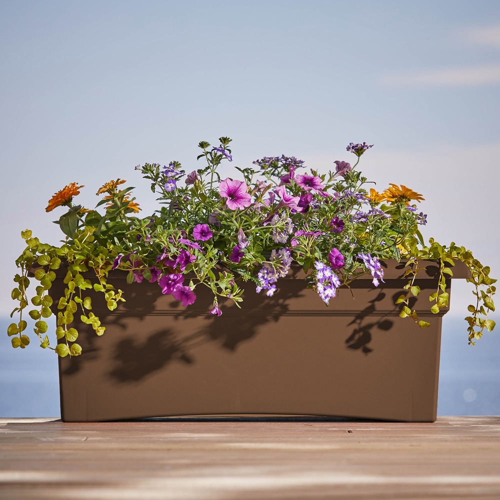 Bloem Veranda Plastic Rectangular Deck Window Box Planter, Chocolate ...