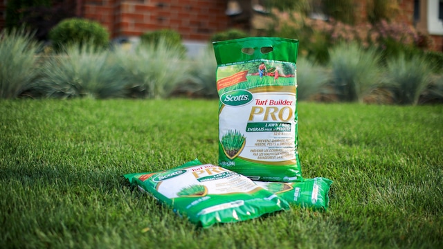 Scotts Turf Builder Pro Lawn Fertilizer, 800-m2 | Canadian Tire