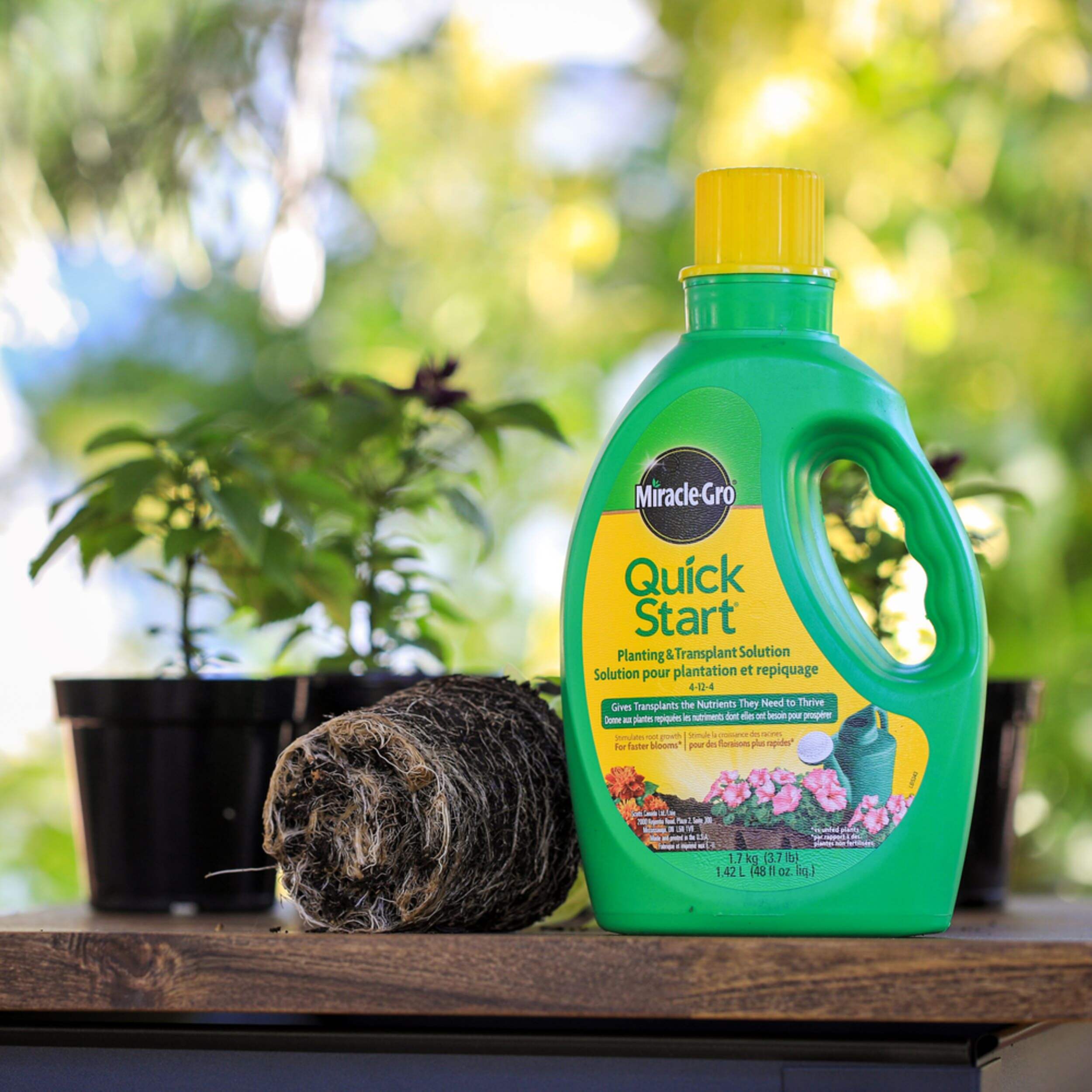 Solution de plantation et de transplantage Miracle-GroMD Quick Start, 4-12-4, 1,42 L | Canadian Tire